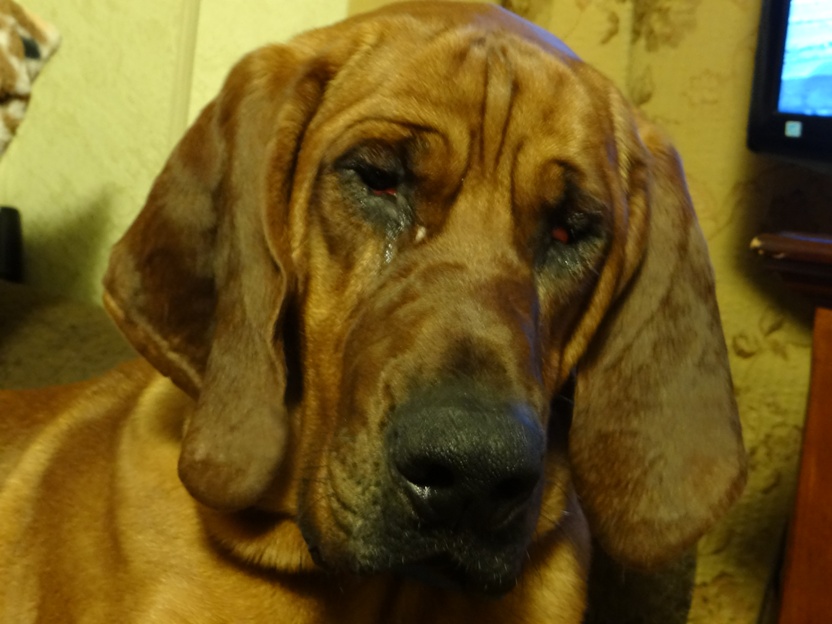 rusty